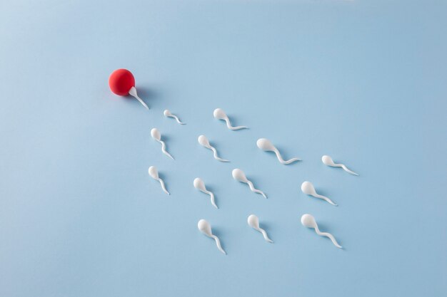 The Impact of DHEA on Male Sperm Quality